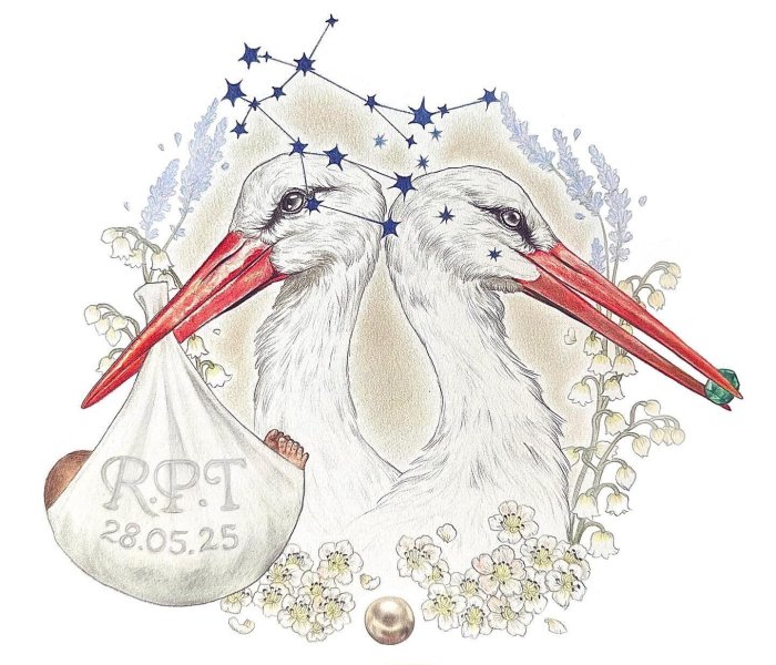 Stork Delivery – K A T E L O U I S E P O W E L L